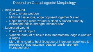 WOUND HEALING.ppt