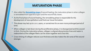 WOUND HEALING.pptx