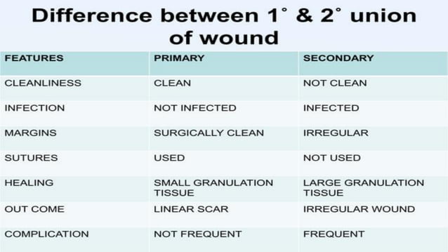 Wound Healing | PDF | First Aid | Injuries