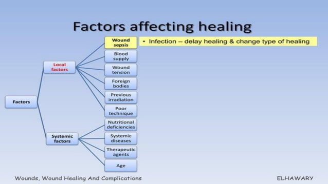 Wound Healing | PDF | First Aid | Injuries
