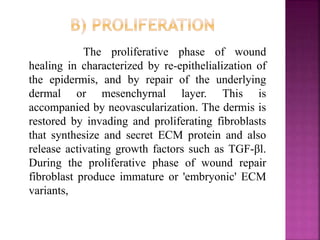 PROCESS OF WOUND HEALING BPHARM 2ND SEM PATHOPHYSIOLOGY.pptx | Skin and ...