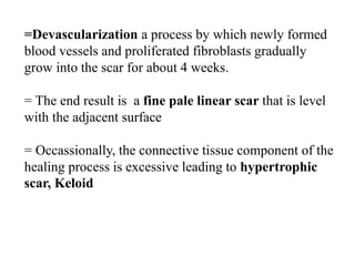 WOUND HEALING AND CARE. THIS IS WOUND HEALING NOTES.tx