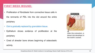 WOUND HEALING. wound healing in general, wound healing in dentistry. | PPTX