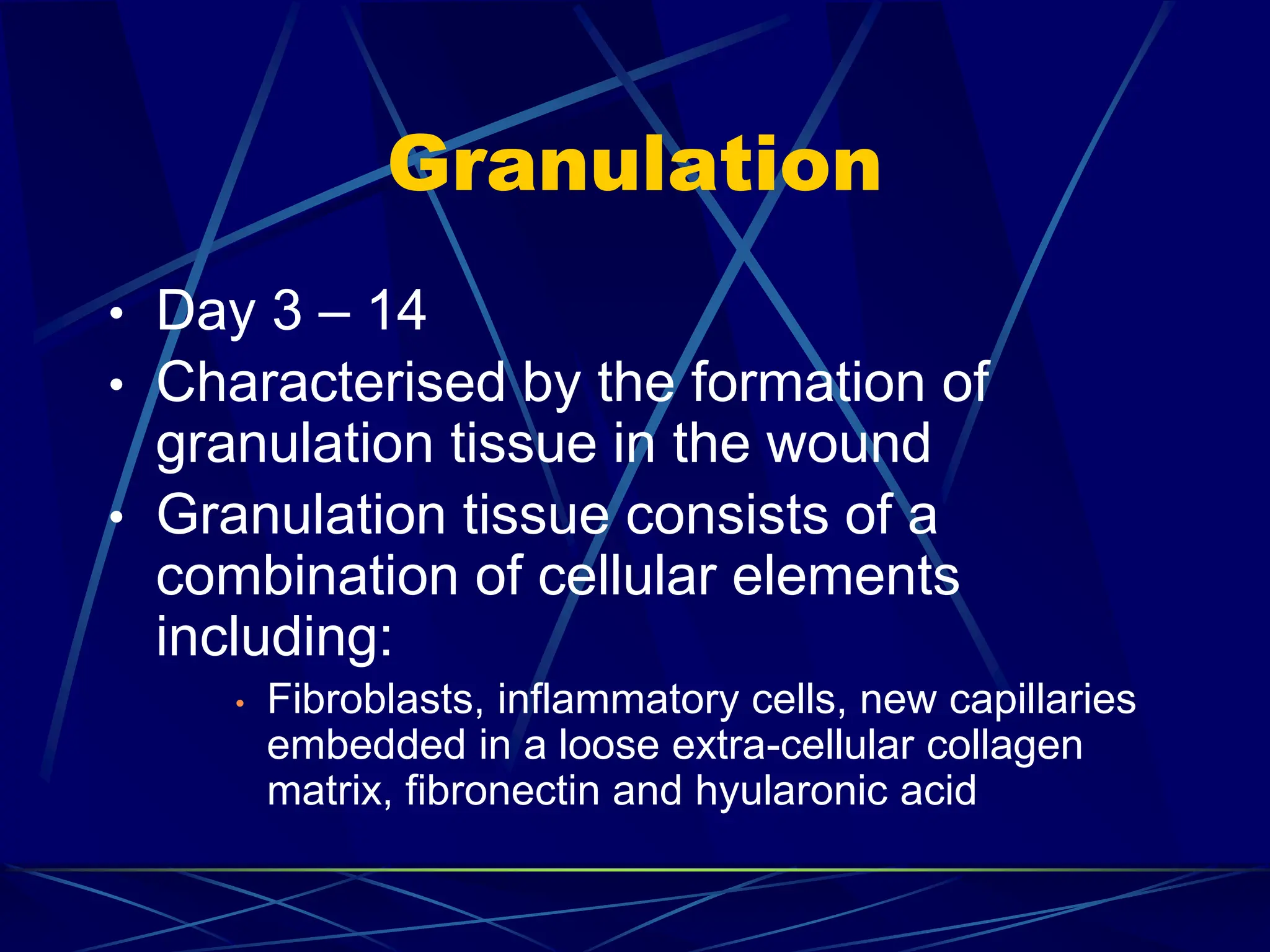 woundhealing .pptx kennels le skeletal owl | PPTX