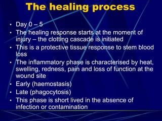 woundhealing .pptx kennels le skeletal owl | PPTX | First Aid | Injuries