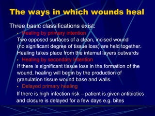 woundhealing .pptx kennels le skeletal owl | PPTX