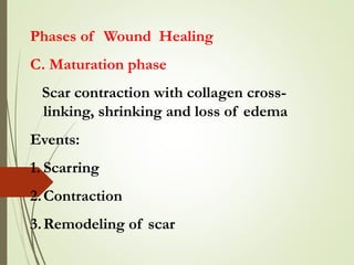 Wound Healing - Phases, Types of wound closure | PPTX