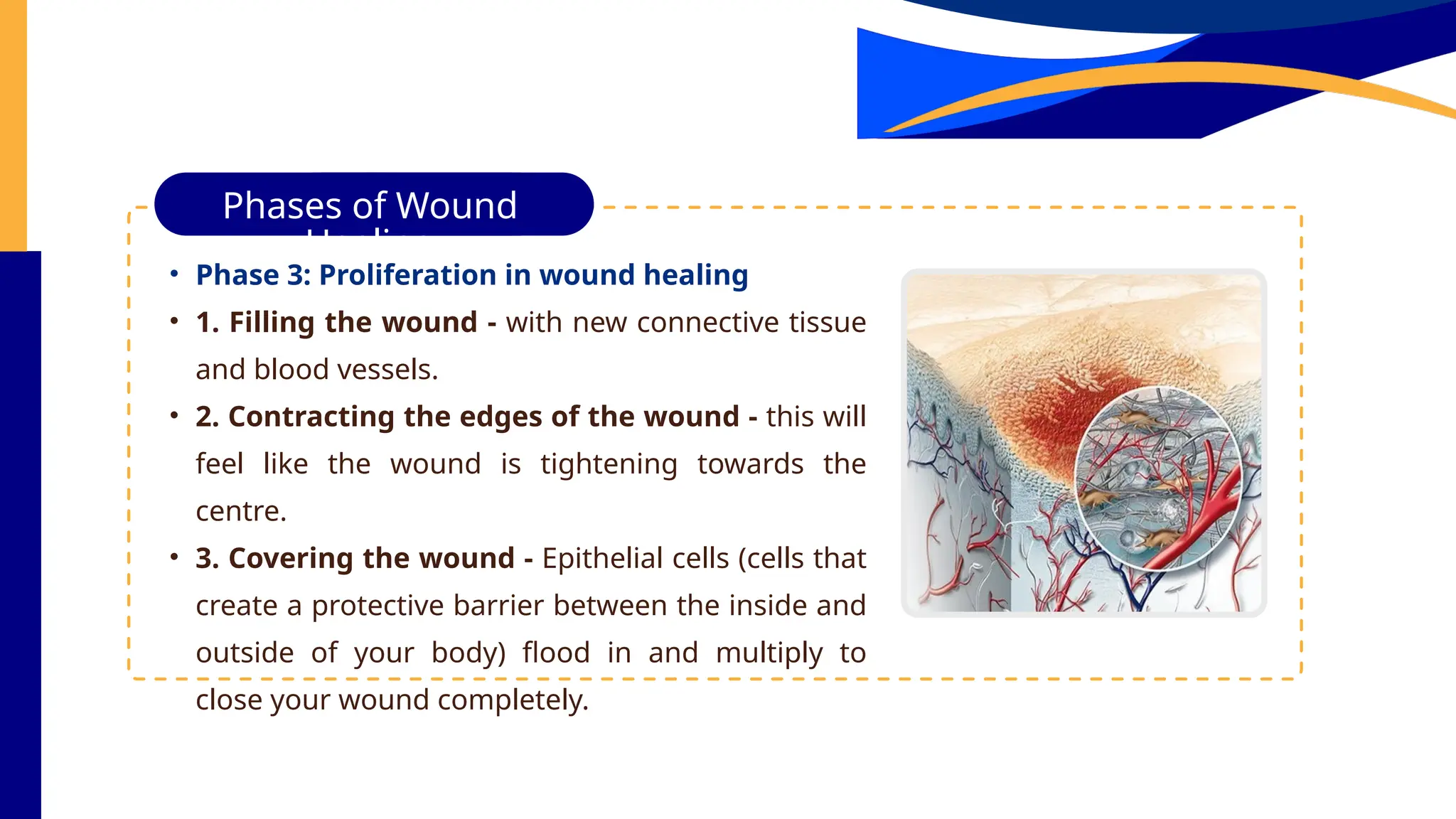 OVERVIEW ABOUT WOUND HEALING AND MANAGEMENT.pptx