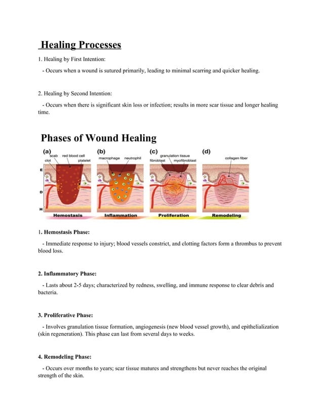 wound healing - General Surgery Definition, stages, classification | DOCX