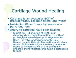 WOUND HEALING - History and Phases.ppt.pdf