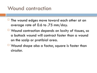 Wound healing, Stages of Wound healing.pptx