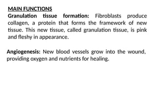 wound healing.pptx............................. | PPTX