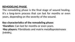 wound healing.pptx............................. | PPTX