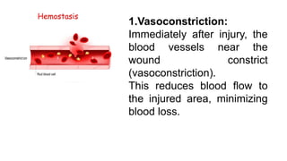 wound healing.pptx............................. | PPTX