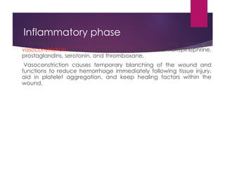 Skin wound healing as a protective mechanism | PPT