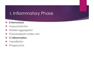 Skin wound healing as a protective mechanism | PPT