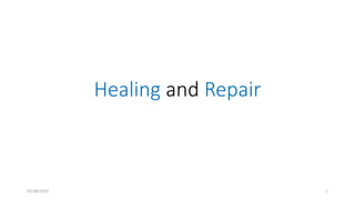Wound Healing pathology chapter 3 .pptx