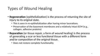 Wound Healing pathology chapter 3 .pptx