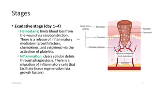 Wound Healing pathology chapter 3 .pptx