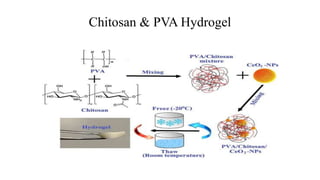 wound healing (1).pptx