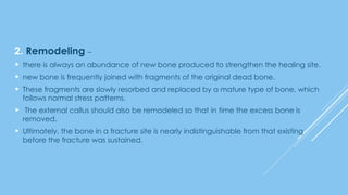 Wound Healing, factors affecting it and its mechanism | PPTX
