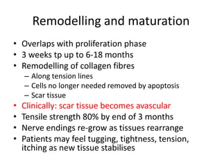 Wound healing2 | PPTX