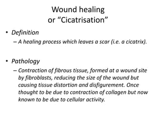 Wound healing2 | PPTX