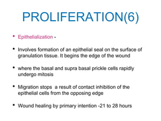 Wound healing ( adesiyakan) | PPT