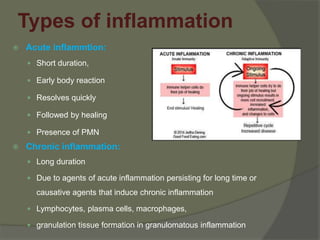 Wound healing and inflammation | PPTX