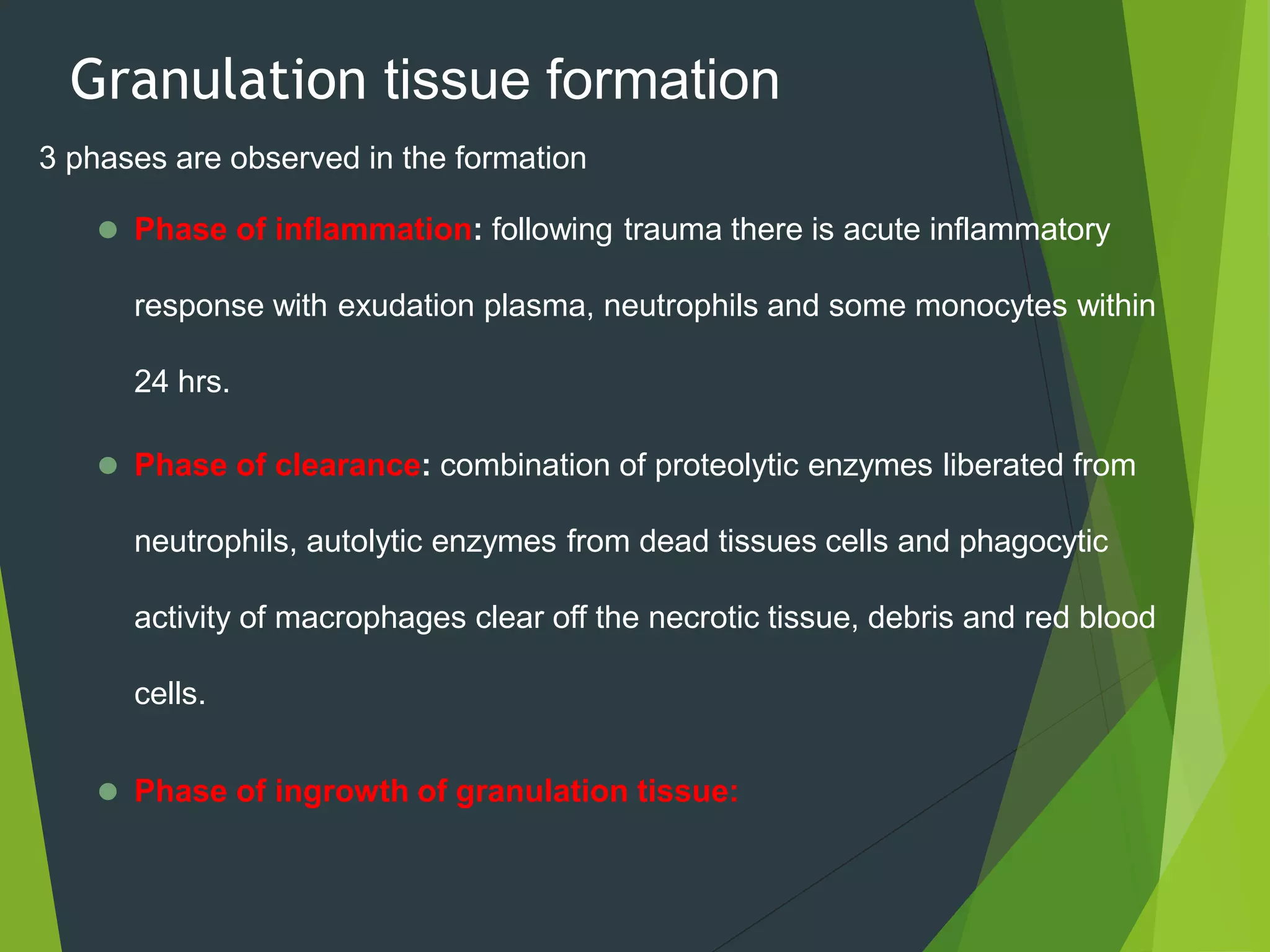 woundhealingandinflammation-181226163636 (1).pptx