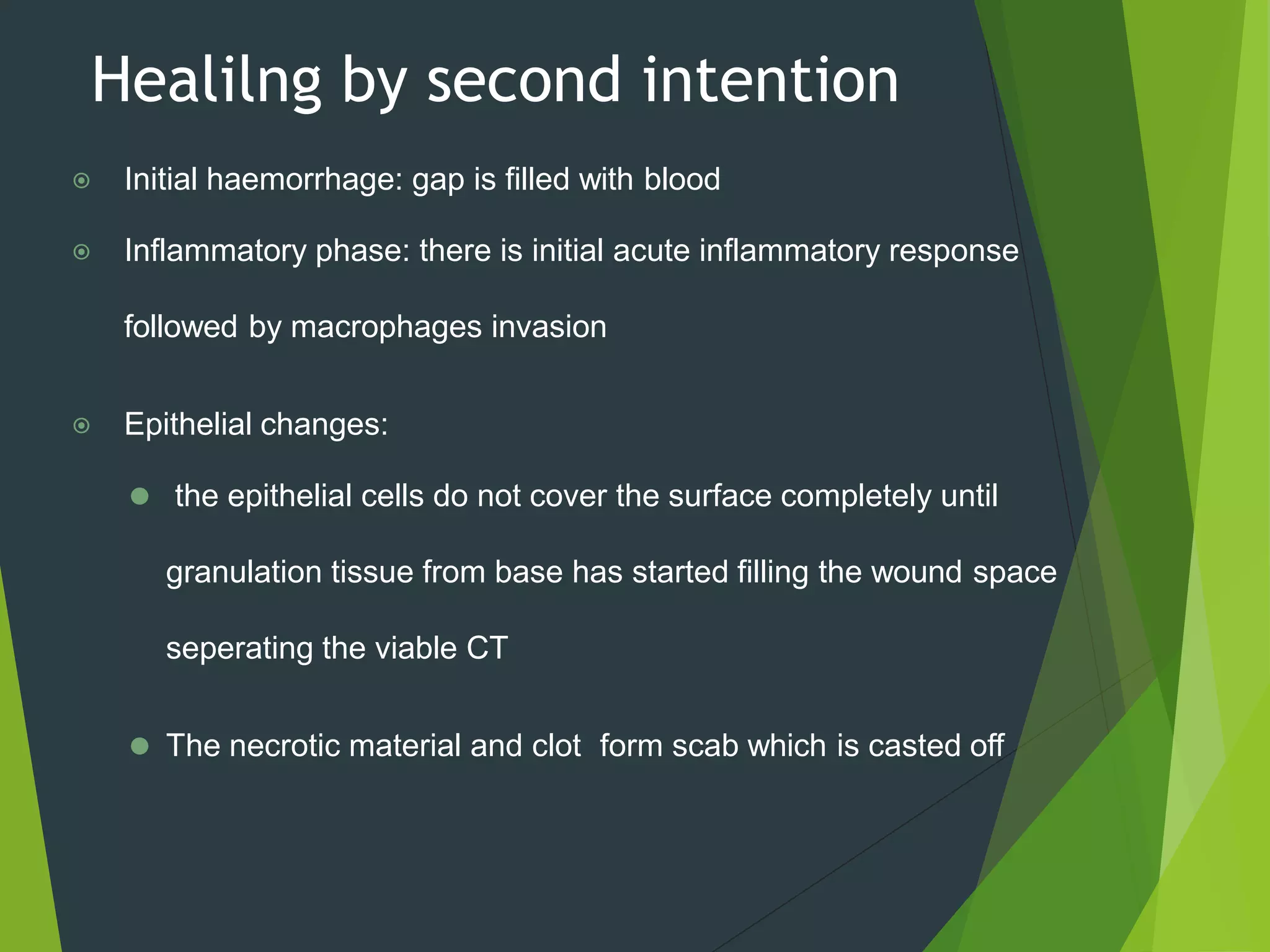 woundhealingandinflammation-181226163636 (1).pptx