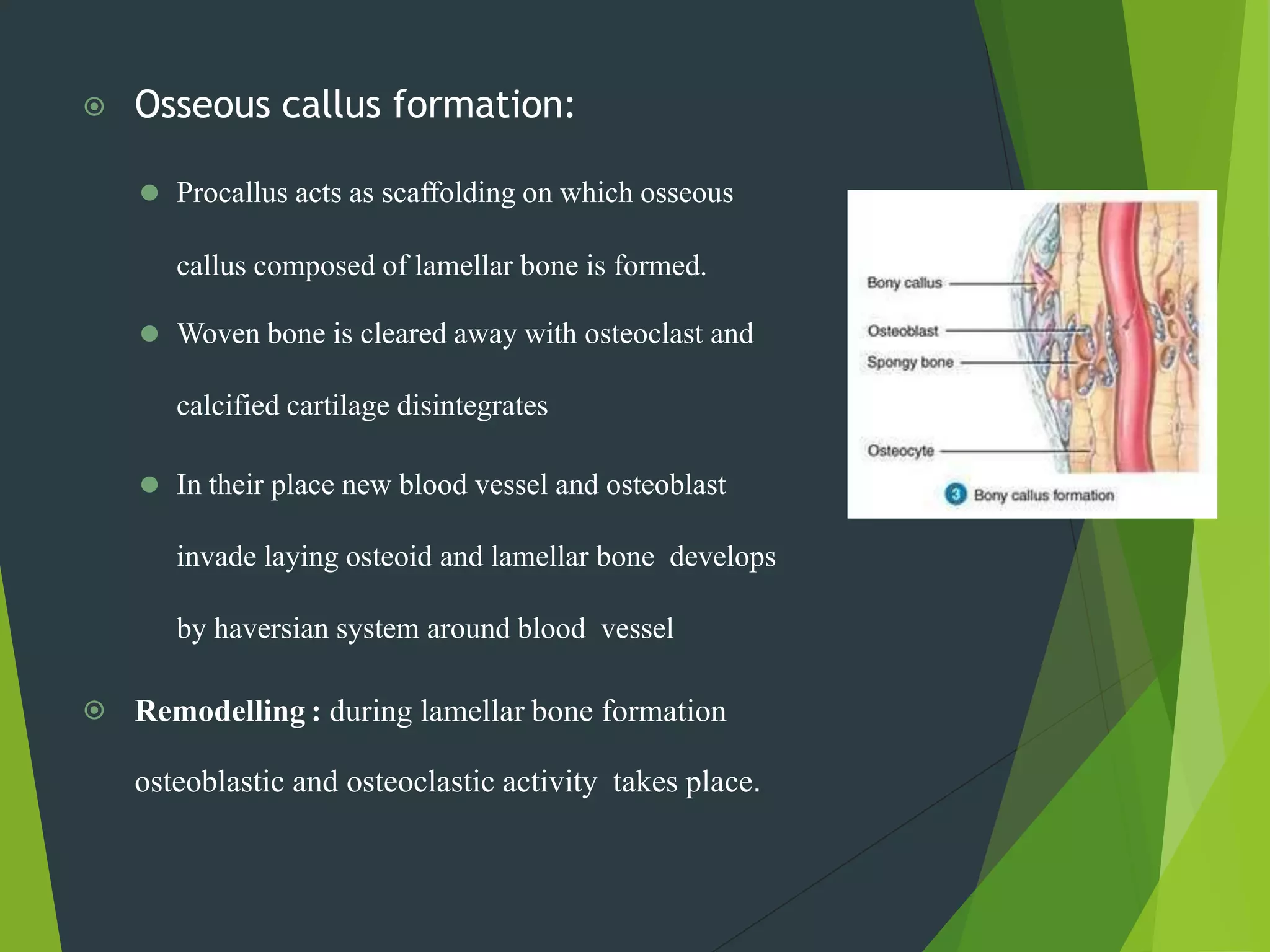 woundhealingandinflammation-181226163636 (1).pptx