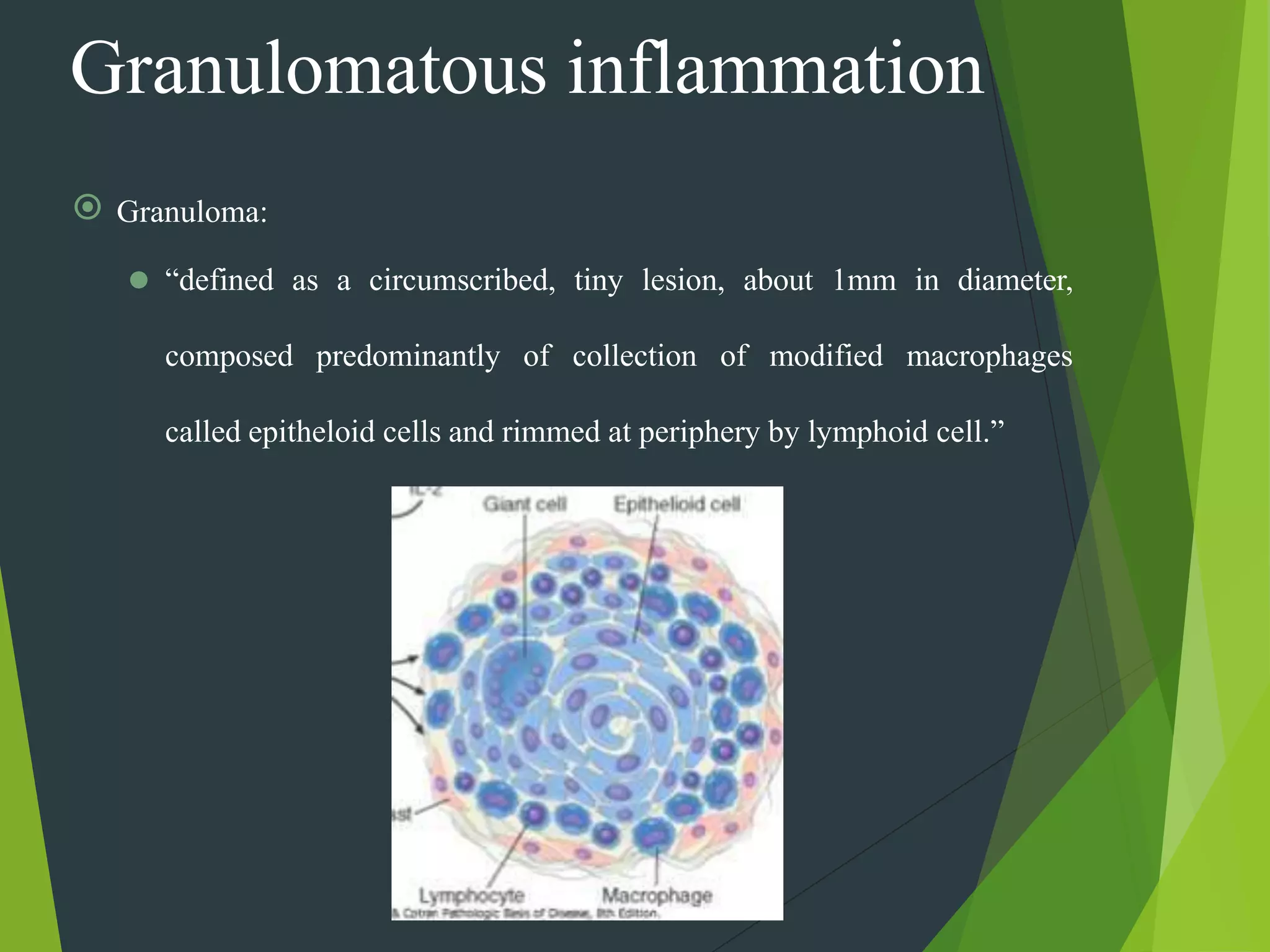 woundhealingandinflammation-181226163636 (1).pptx