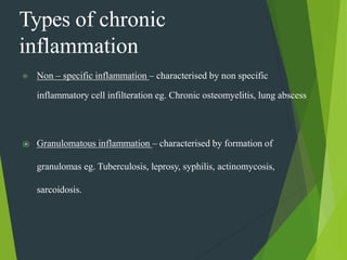 woundhealingandinflammation-181226163636 (1).pptx