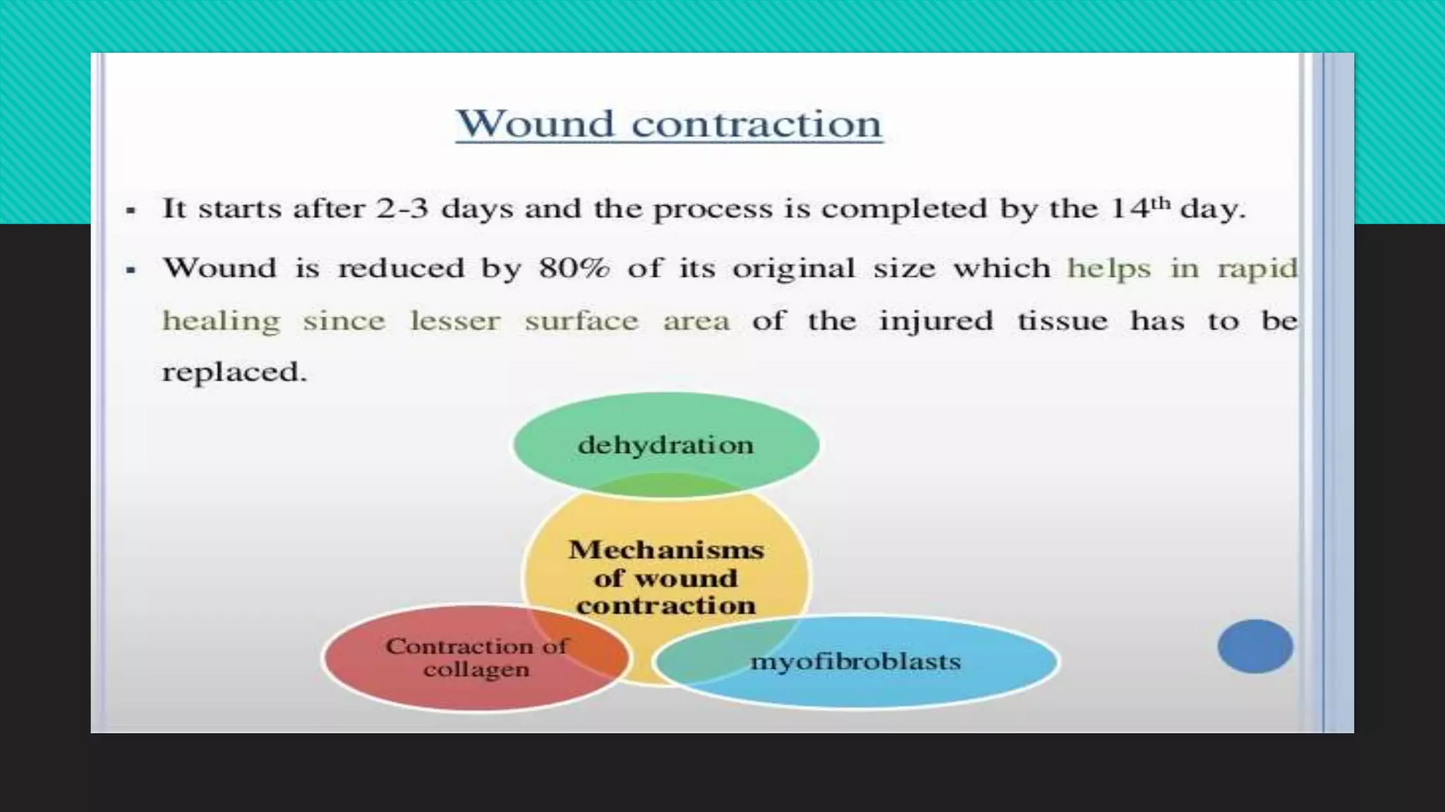 Wound healing and repair | PPTX