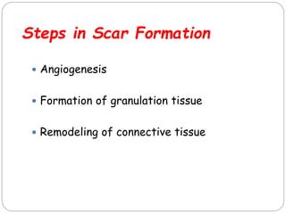 Wound healing and repair Repair/Healing : restoration of tissue ...