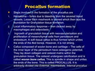 WOUND HEALING AND REPAIR OF TISSUES.ppt