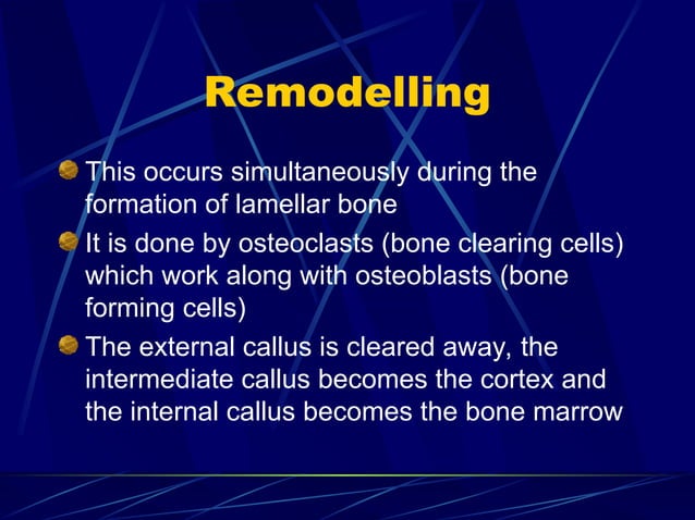WOUND HEALING AND REPAIR OF TISSUES.ppt