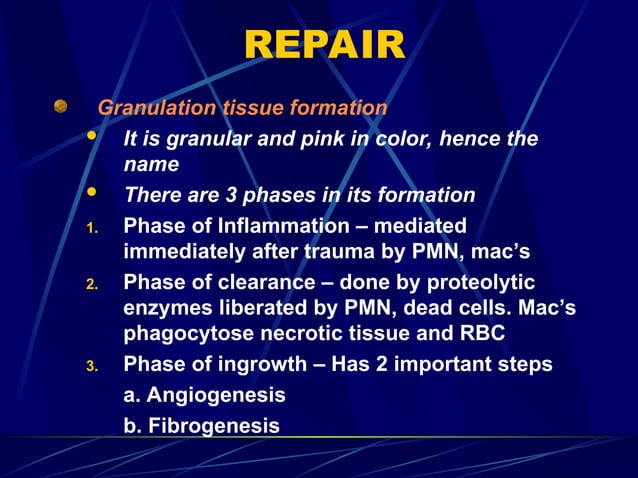 WOUND HEALING AND REPAIR OF TISSUES.ppt