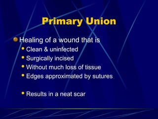 WOUND HEALING AND REPAIR OF TISSUES.ppt