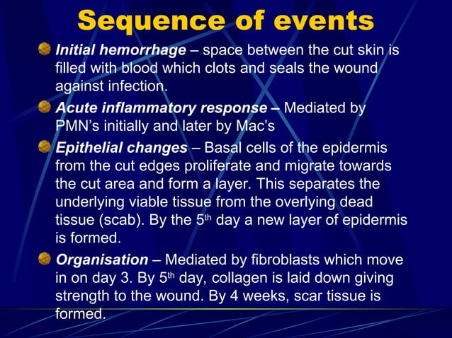 WOUND HEALING AND REPAIR OF TISSUES.ppt