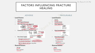 Comprehensive Overview of Wound Healing, Repair, and Fracture Healing ...