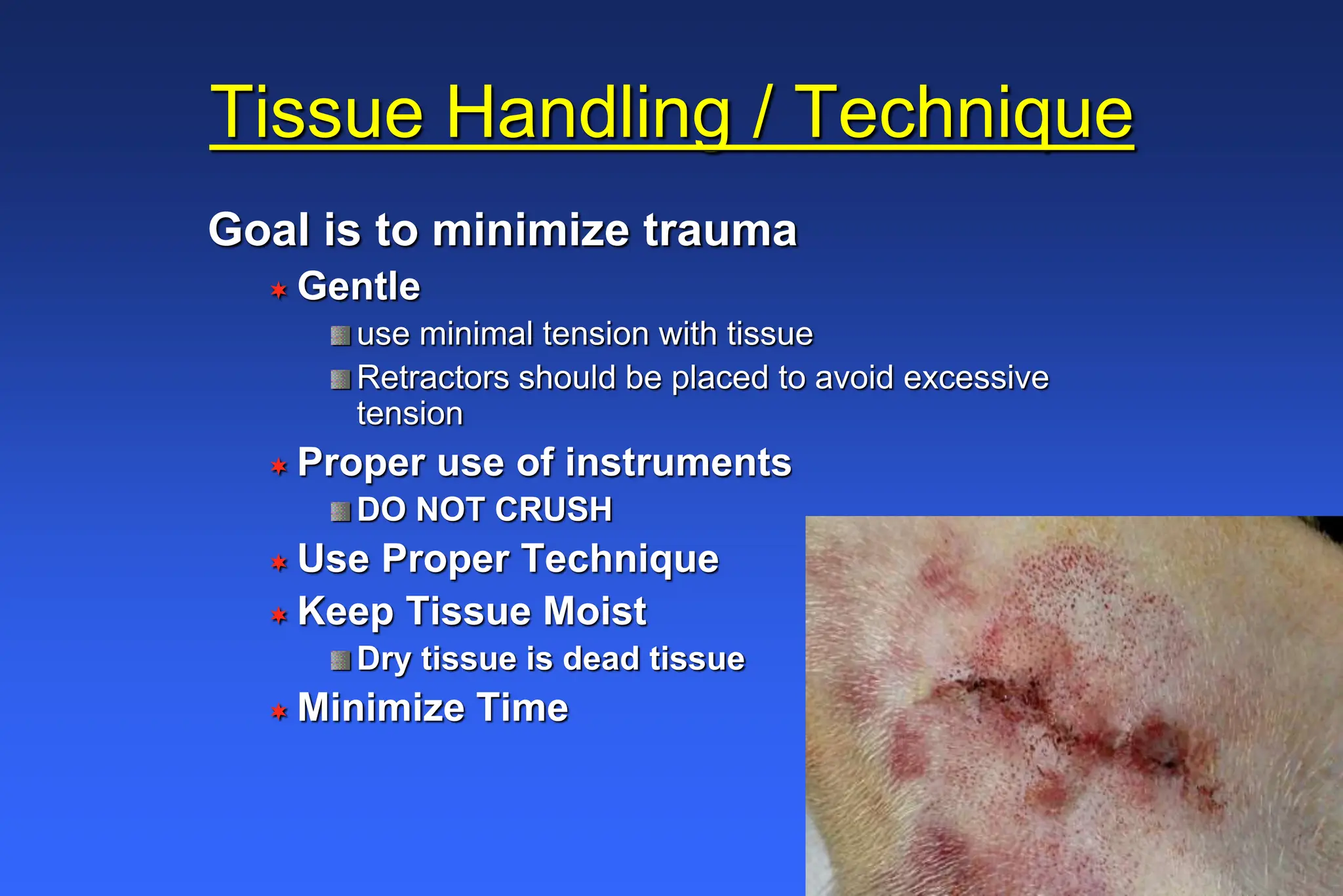 Wound Healing and Suture Knowledge-Kim_Bayer.ppt