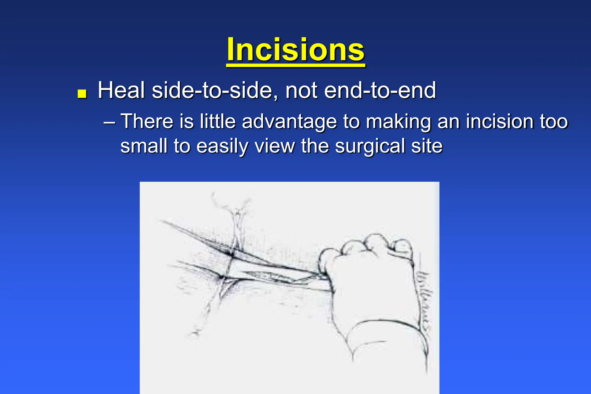 Wound Healing and Suture Knowledge-Kim_Bayer.ppt