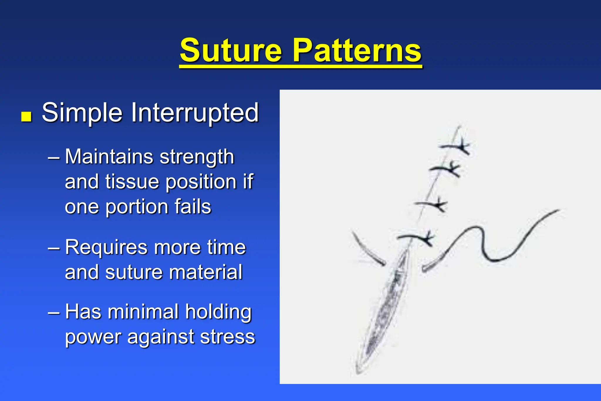 Wound Healing and Suture Knowledge-Kim_Bayer.ppt