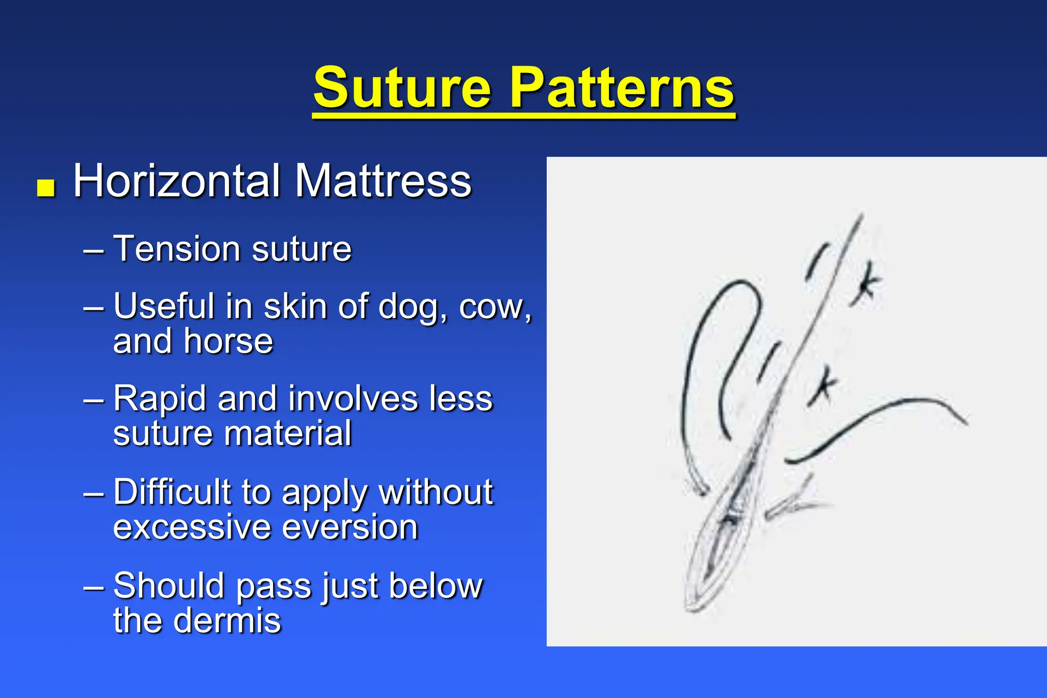 Wound Healing and Suture Knowledge-Kim_Bayer.ppt