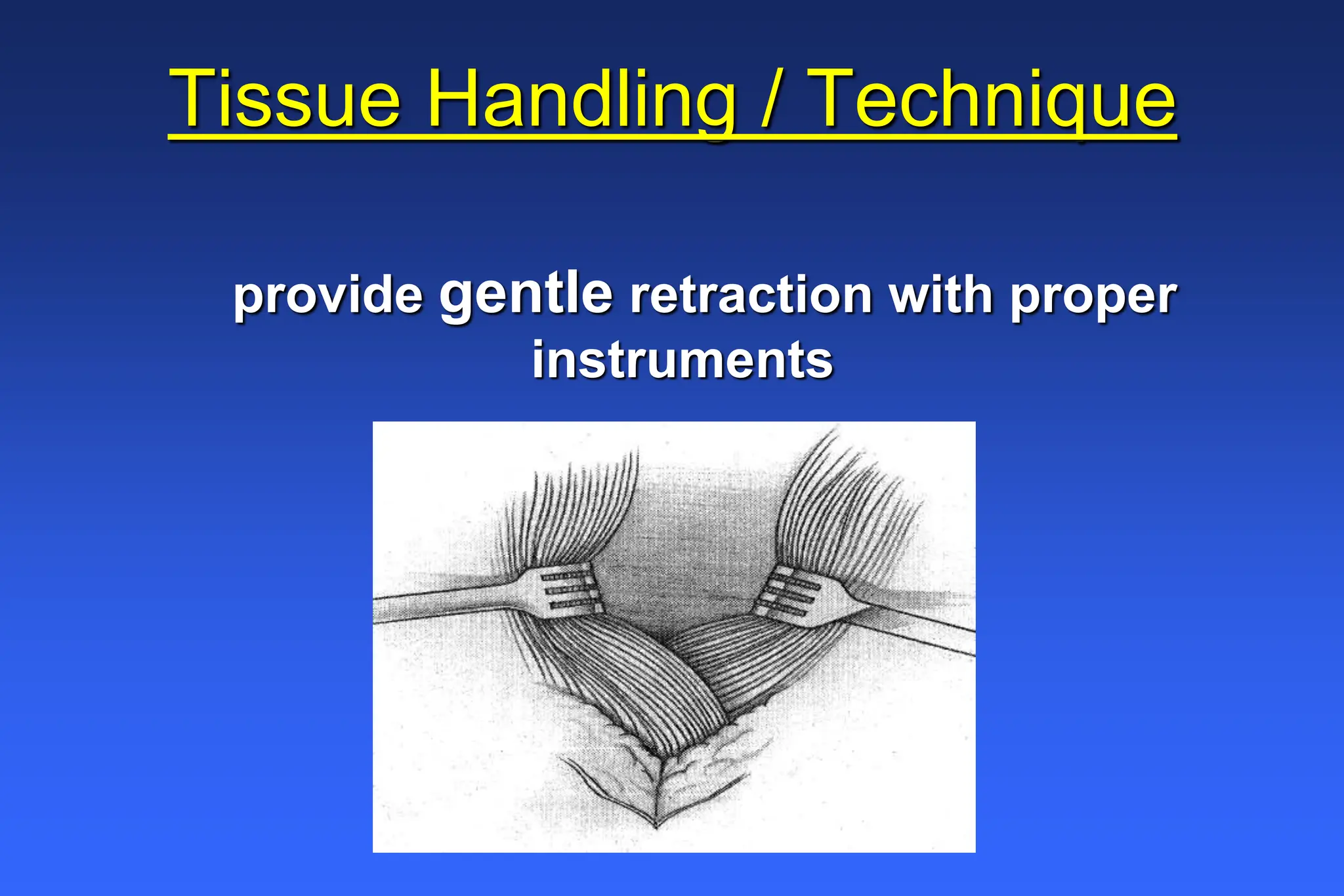 Wound Healing and Suture Knowledge-Kim_Bayer.ppt