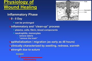Wound Healing and Suture Knowledge-Kim_Bayer.ppt