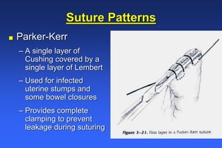 Wound Healing and Suture Knowledge-Kim_Bayer.ppt