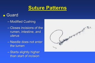 Wound Healing and Suture Knowledge-Kim_Bayer.ppt
